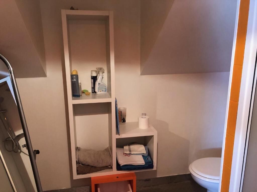Casa de banho com sanita, uma prateleira com artigos de higiene e um degrau a levar para a área do chuveiro.