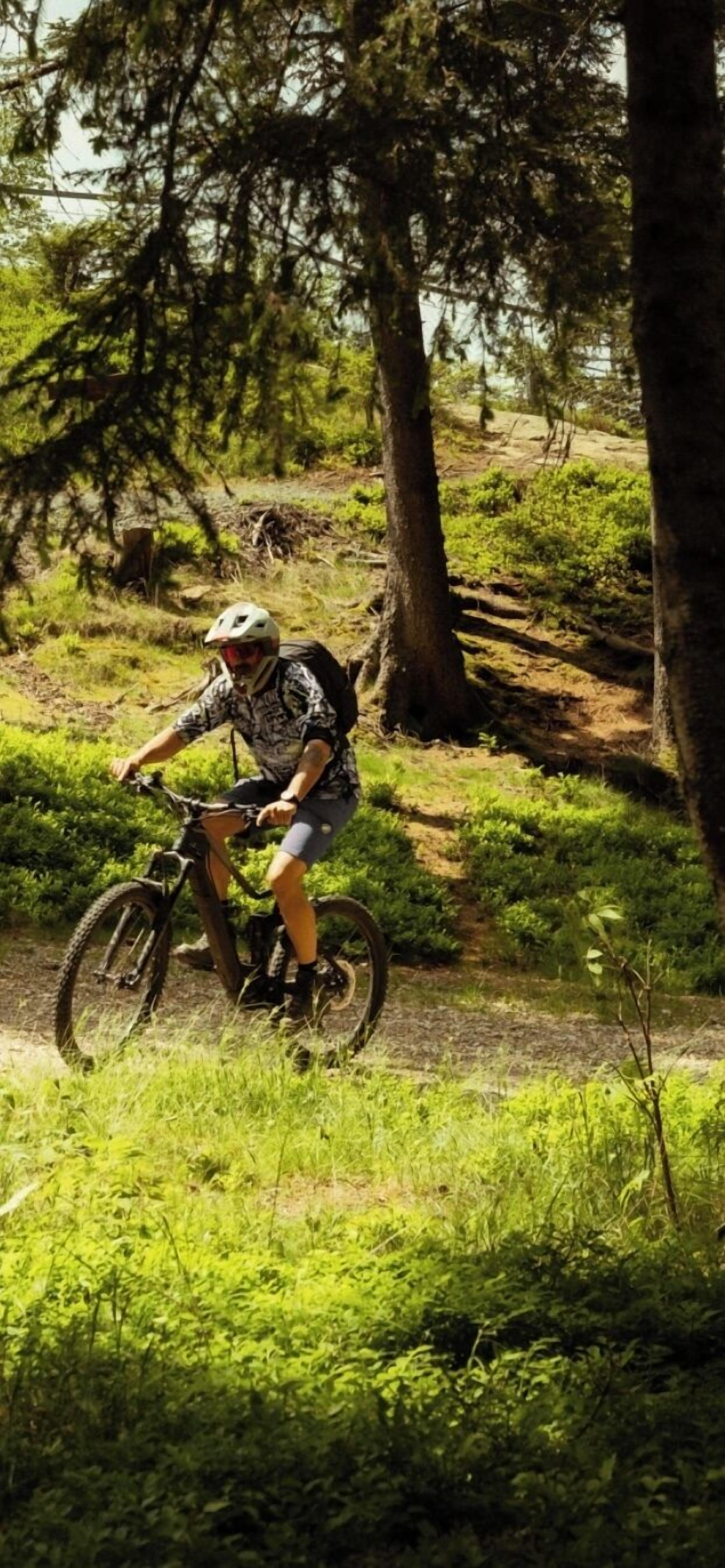 Uma pessoa andando de bicicleta de montanha por uma trilha de terra cercada por vegetação.