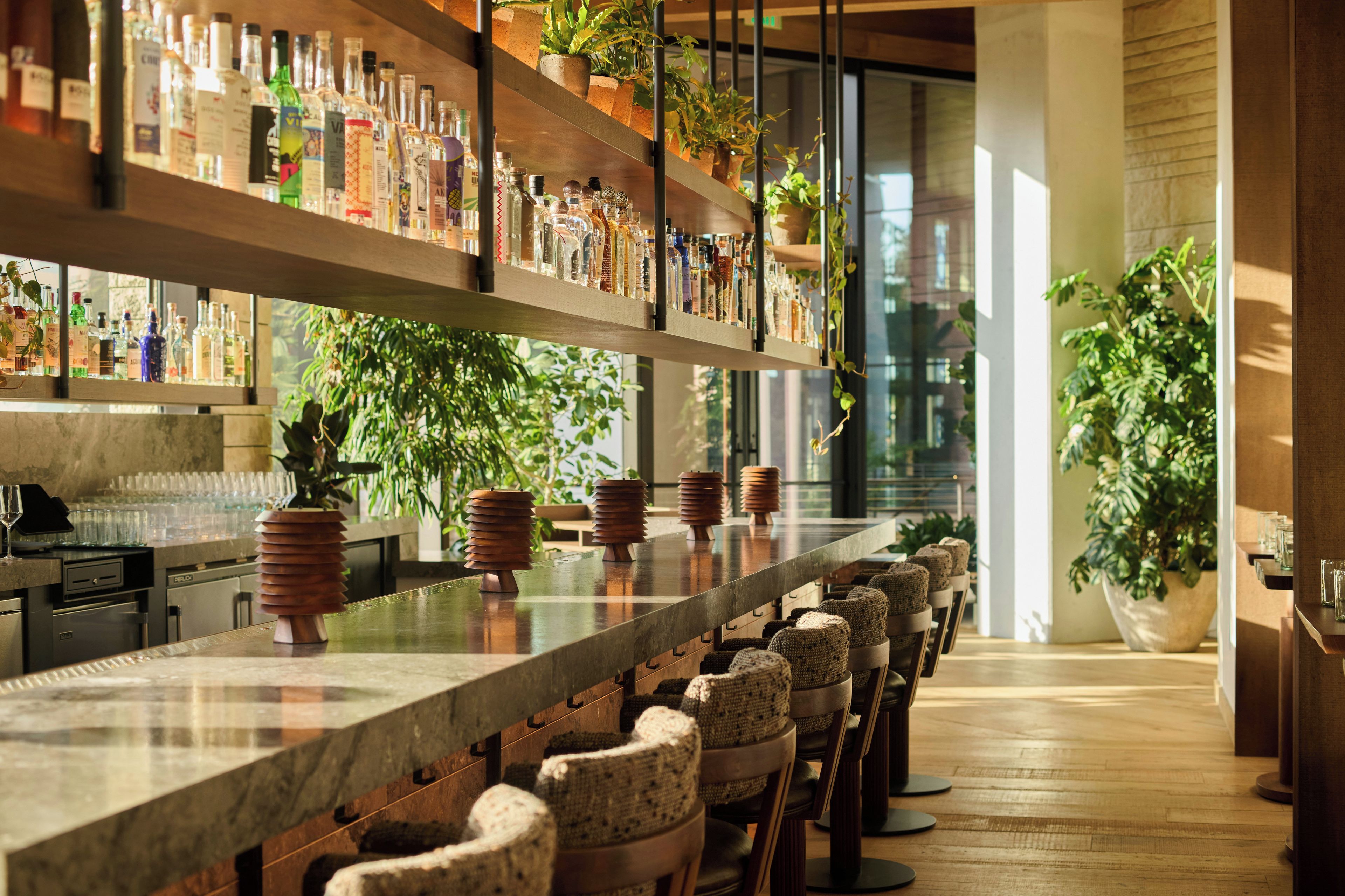 Uma área de bar com prateleiras de garrafas, banquetas e plantas em vasos.