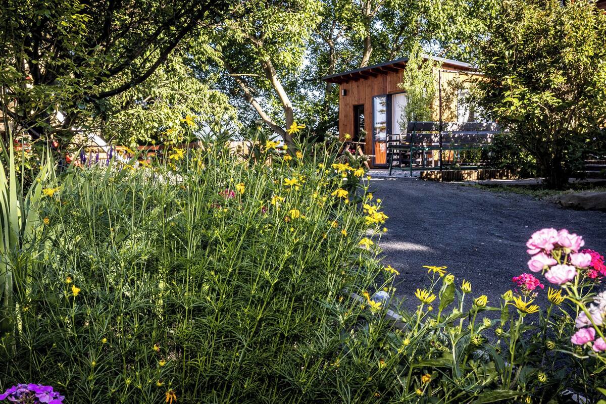 Um jardim com diversas flores e um edifício com amplas janelas.