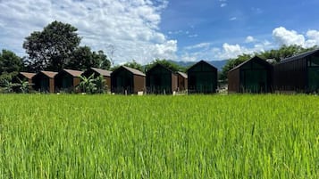 Área da propriedade