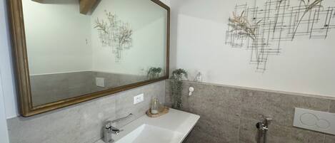 Um banheiro com pia branca, espelho, chuveiro e planta fixada na parede.