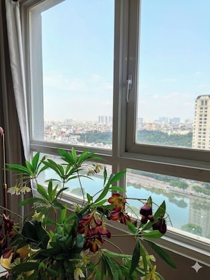 Janela com vista para a paisagem urbana e uma planta em primeiro plano.