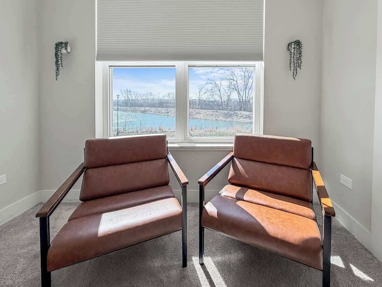 Furnished 4br Townhome Pickleball Court & Garage - Naperville