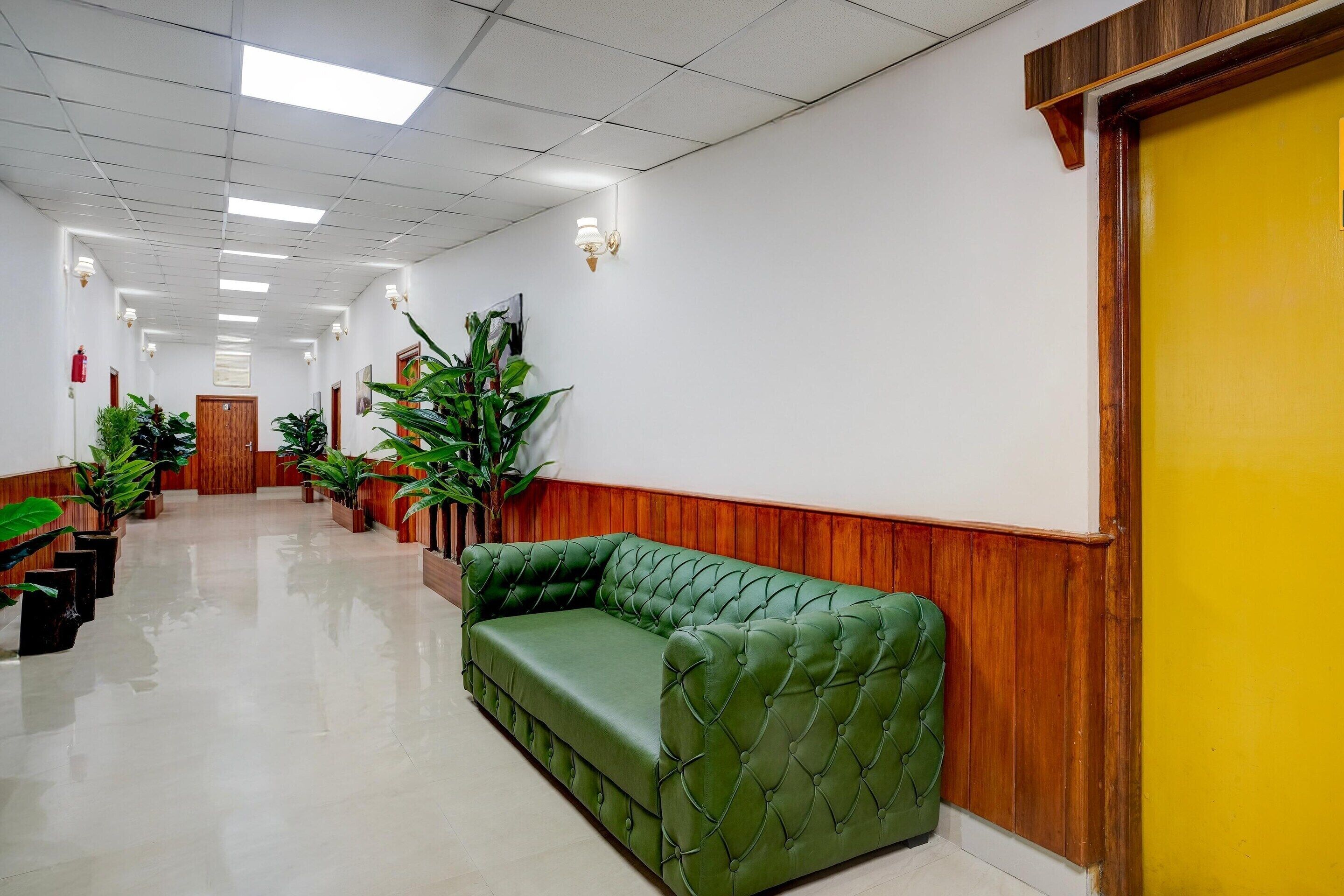 Um sofá de couro verde em um corredor com painéis de madeira, plantas em vasos e uma porta amarela.
