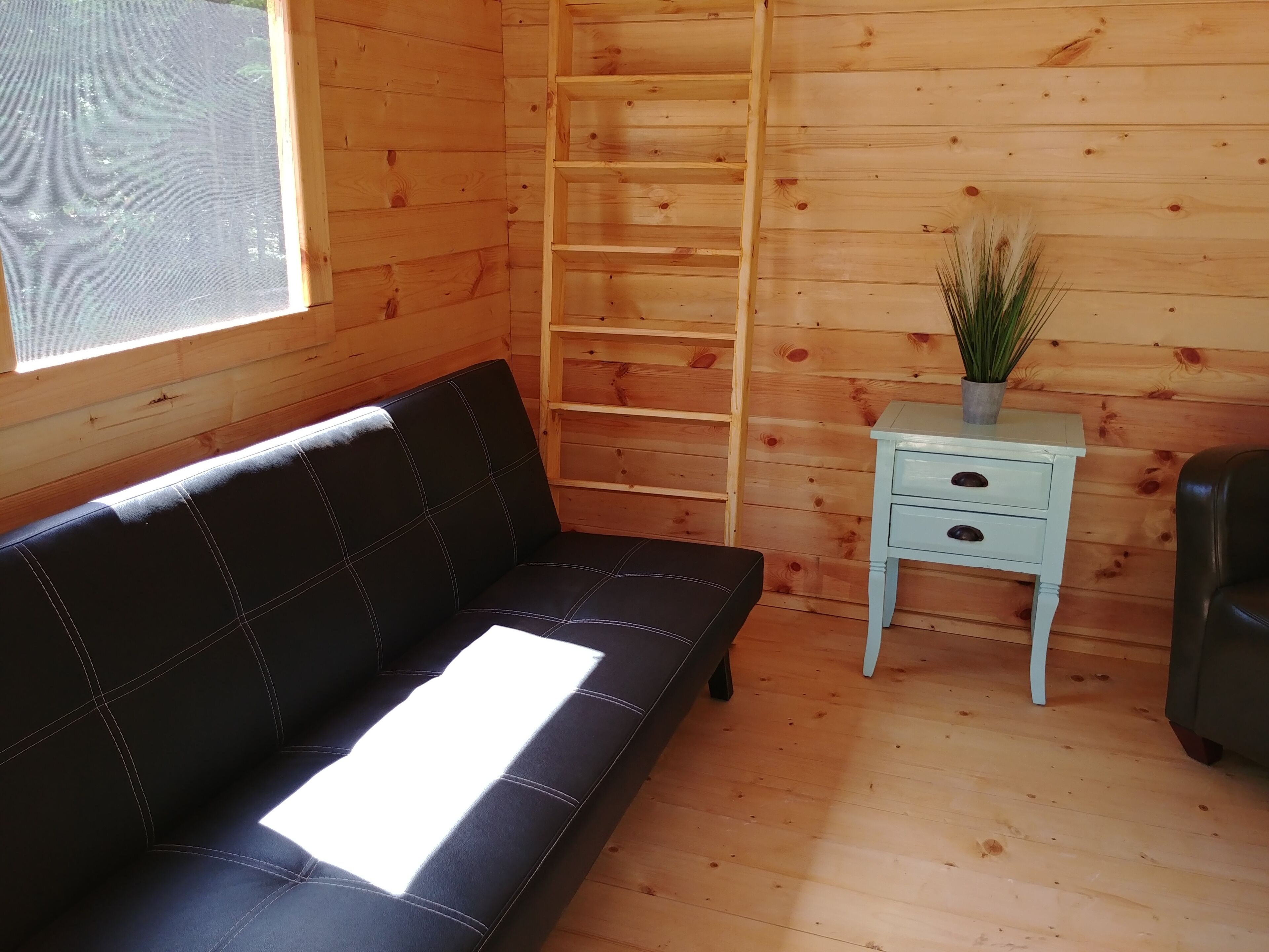 Cozy Cabin #2 - Ontario 60