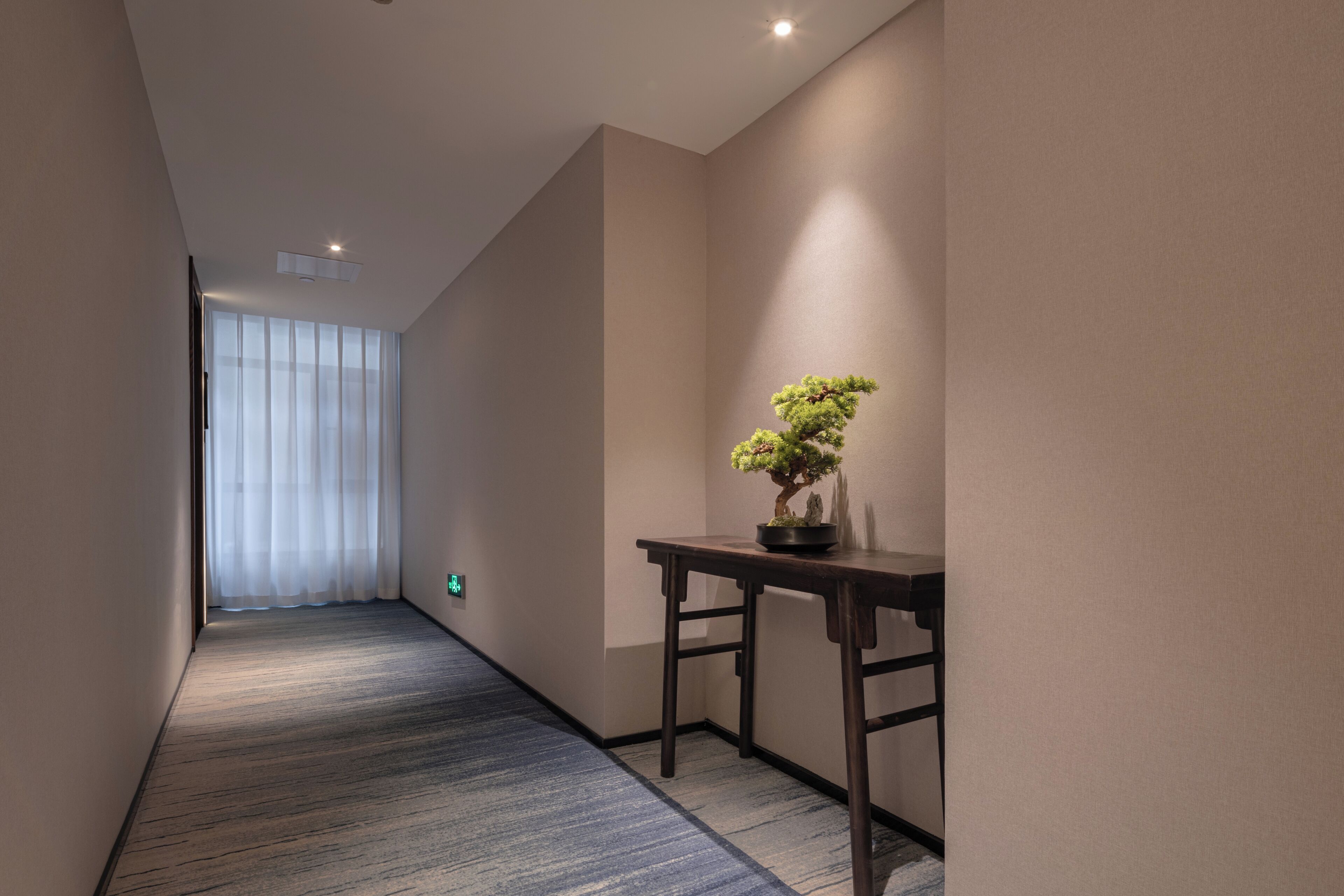 Um corredor com piso de madeira, um vaso com planta sobre uma mesa e uma janela com cortinas leves.