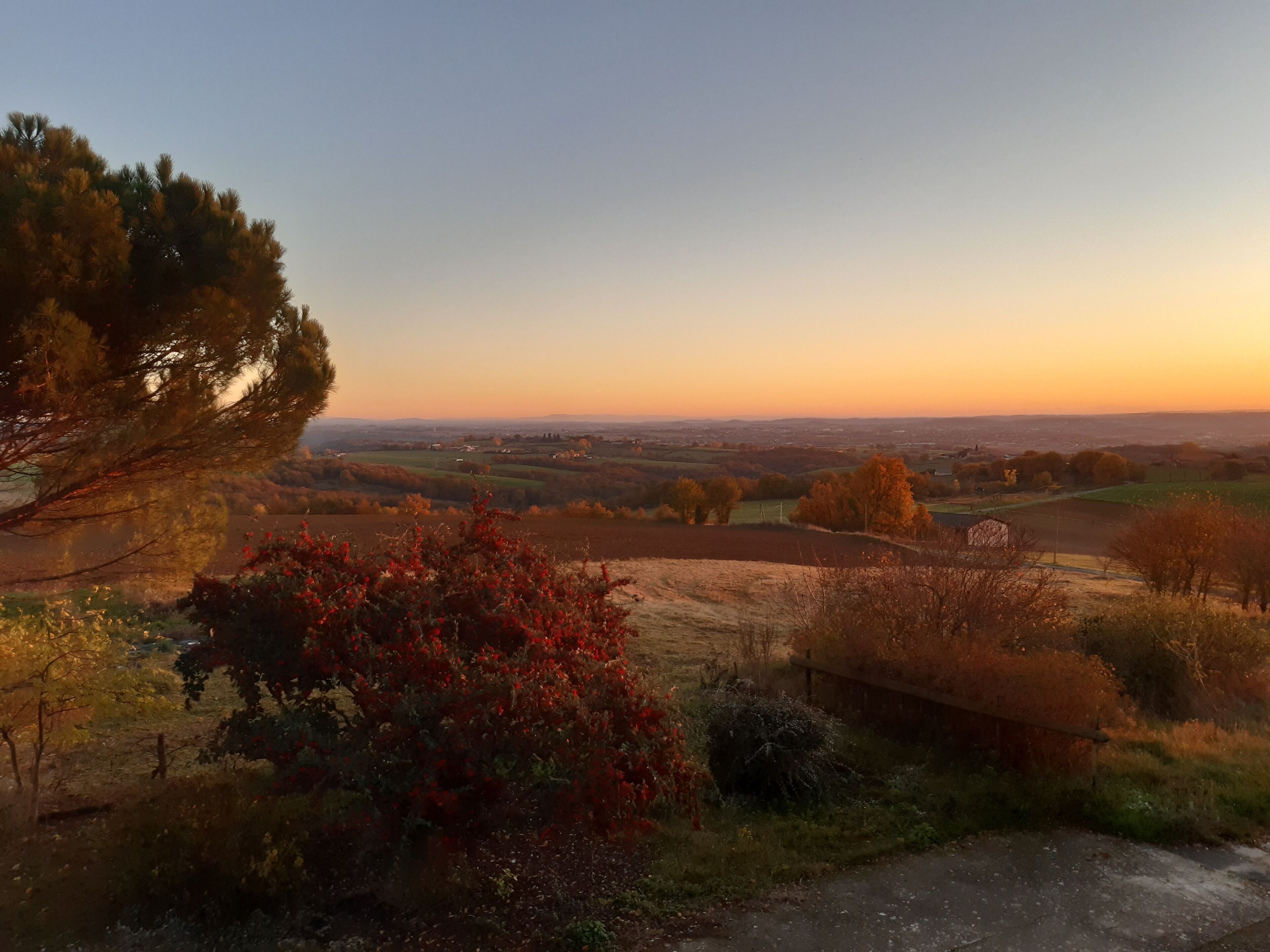 Paisagem rural com campos, árvores e um céu claro.