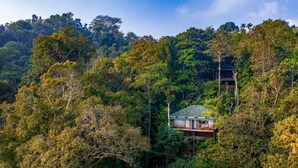 Uma casa cercada por floresta densa, erguida sobre pilares, com vista clara para as árvores ao redor.