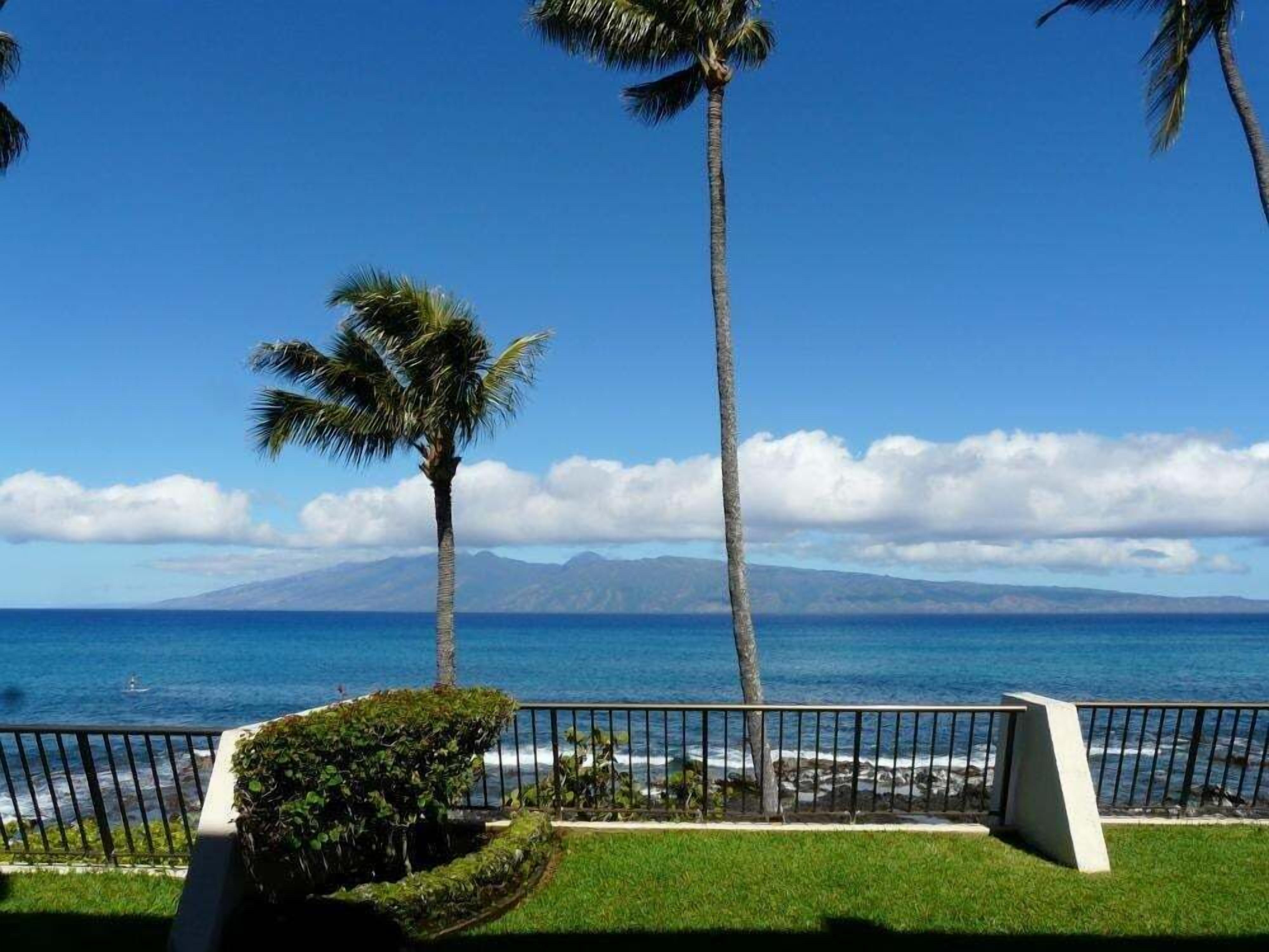 Condo, 1 quarto | Área da propriedade