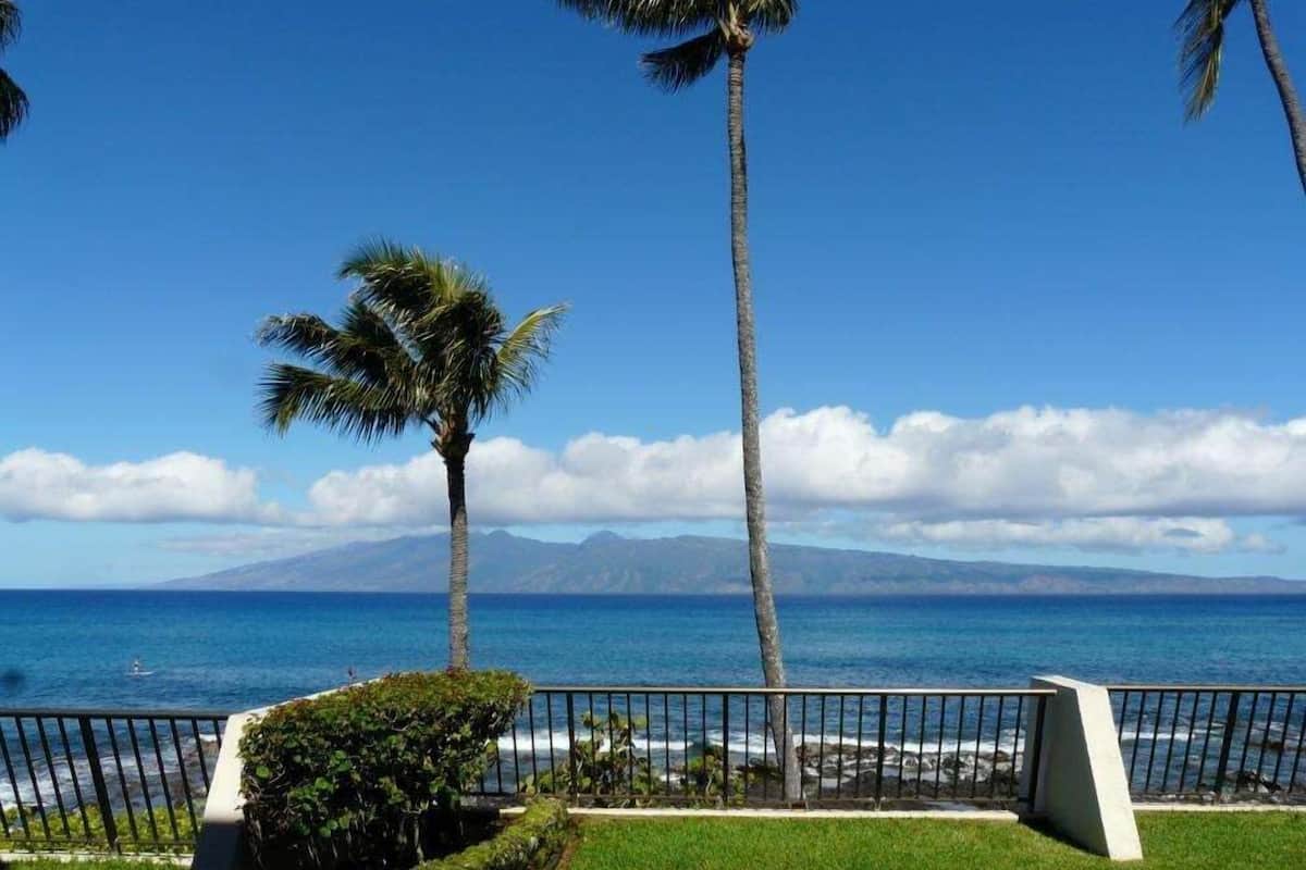 Condo, 1 quarto | Área da propriedade