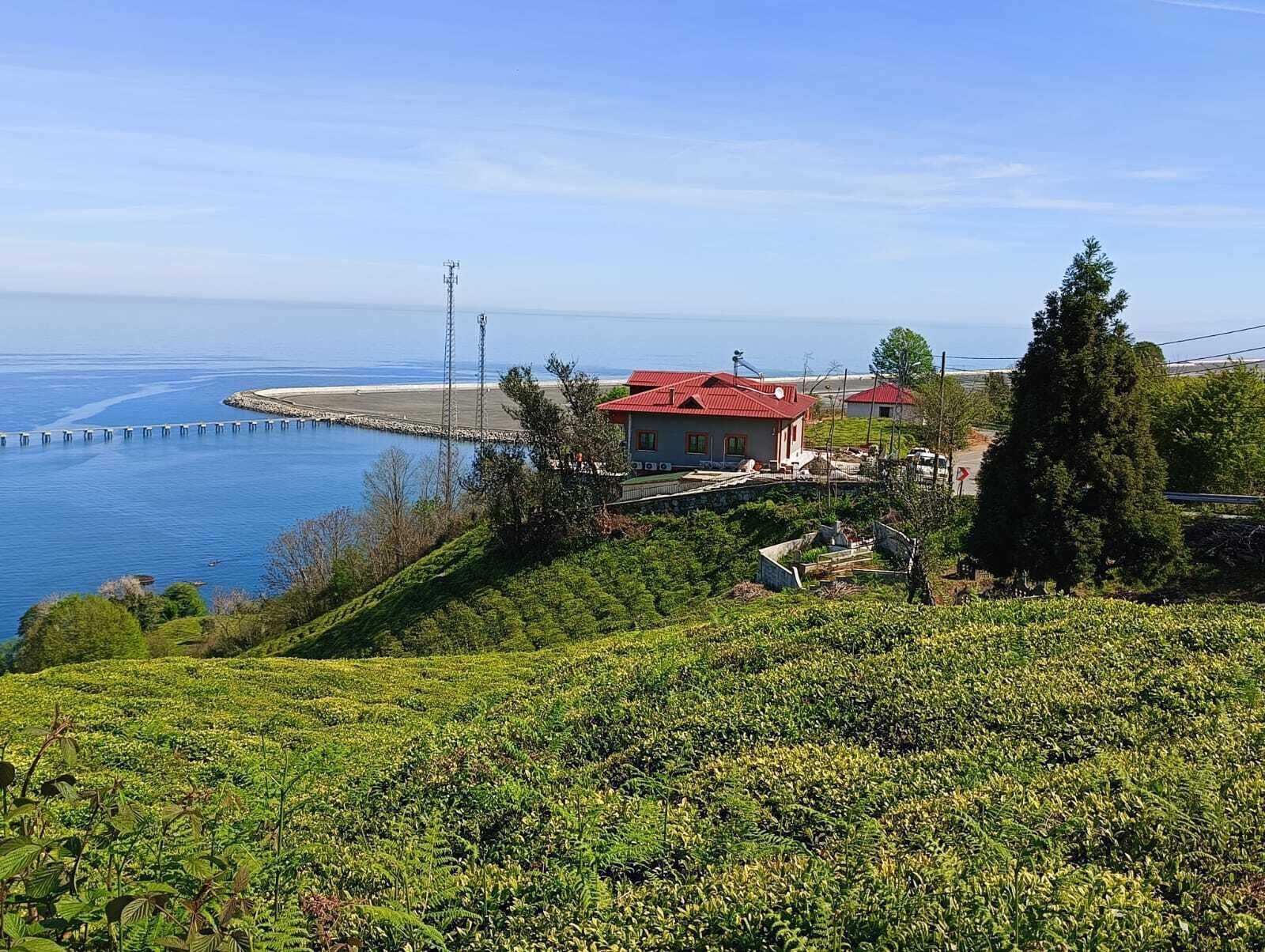 Uma propriedade costeira com casa, cais e vinhedo.