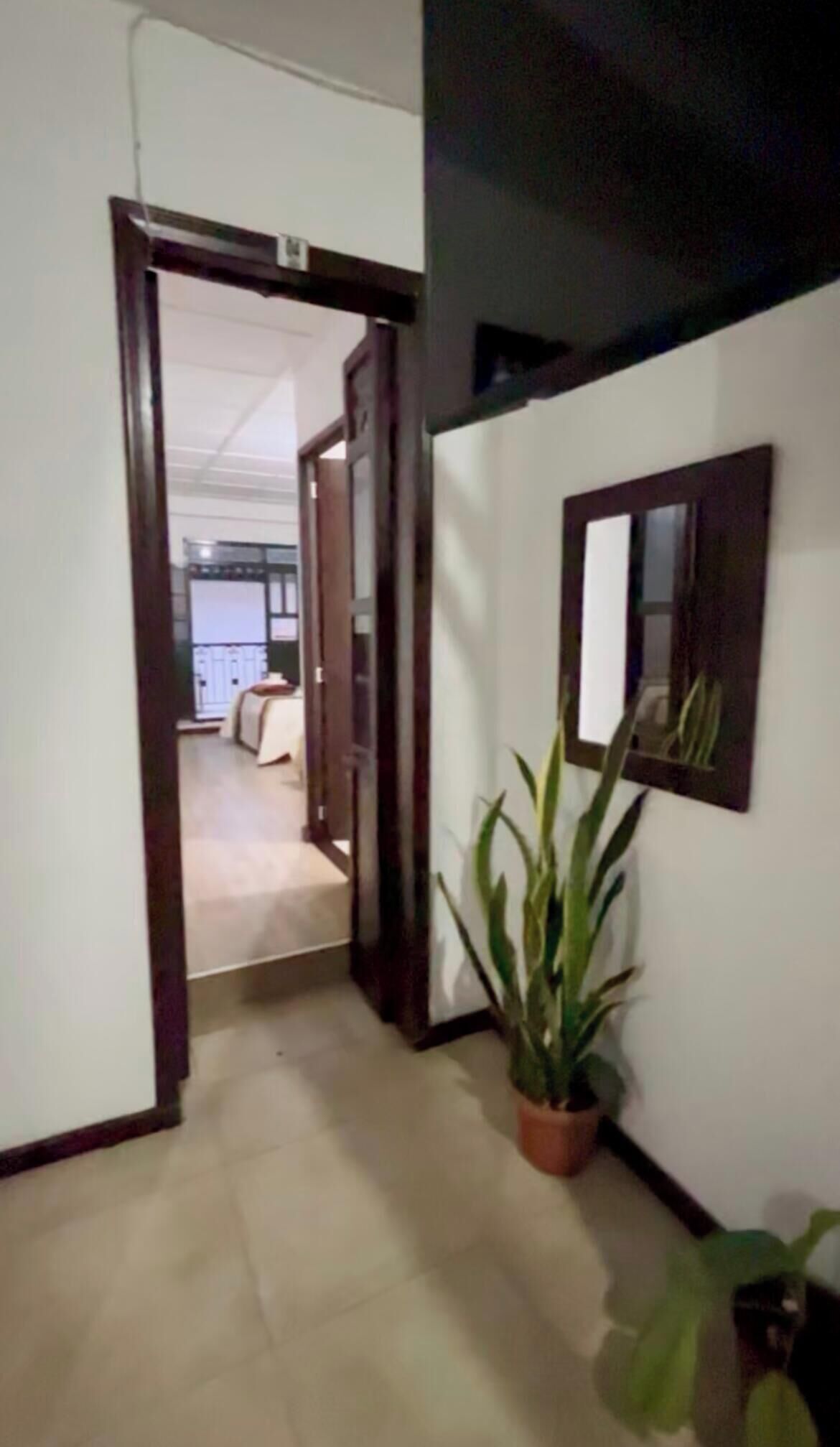Um corredor com uma porta que dá para um quarto, uma planta em vaso e um espelho na parede.