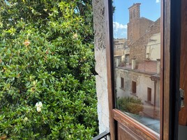 Uma janela com vista para um edifício e um conjunto denso de arbustos verdes.
