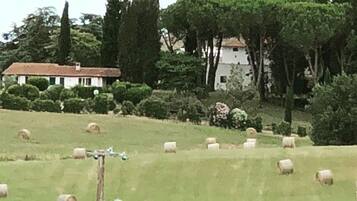 Terrenos do alojamento