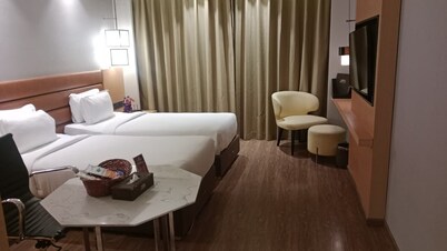 HOTEL AVINASH INTERNATIONAL