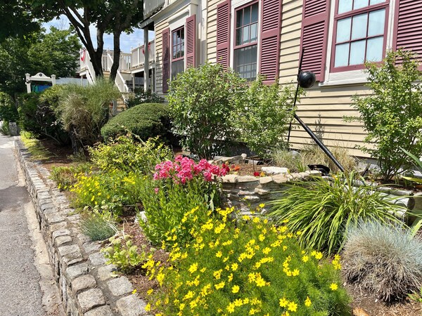 Watership Inn - Provincetown, MA