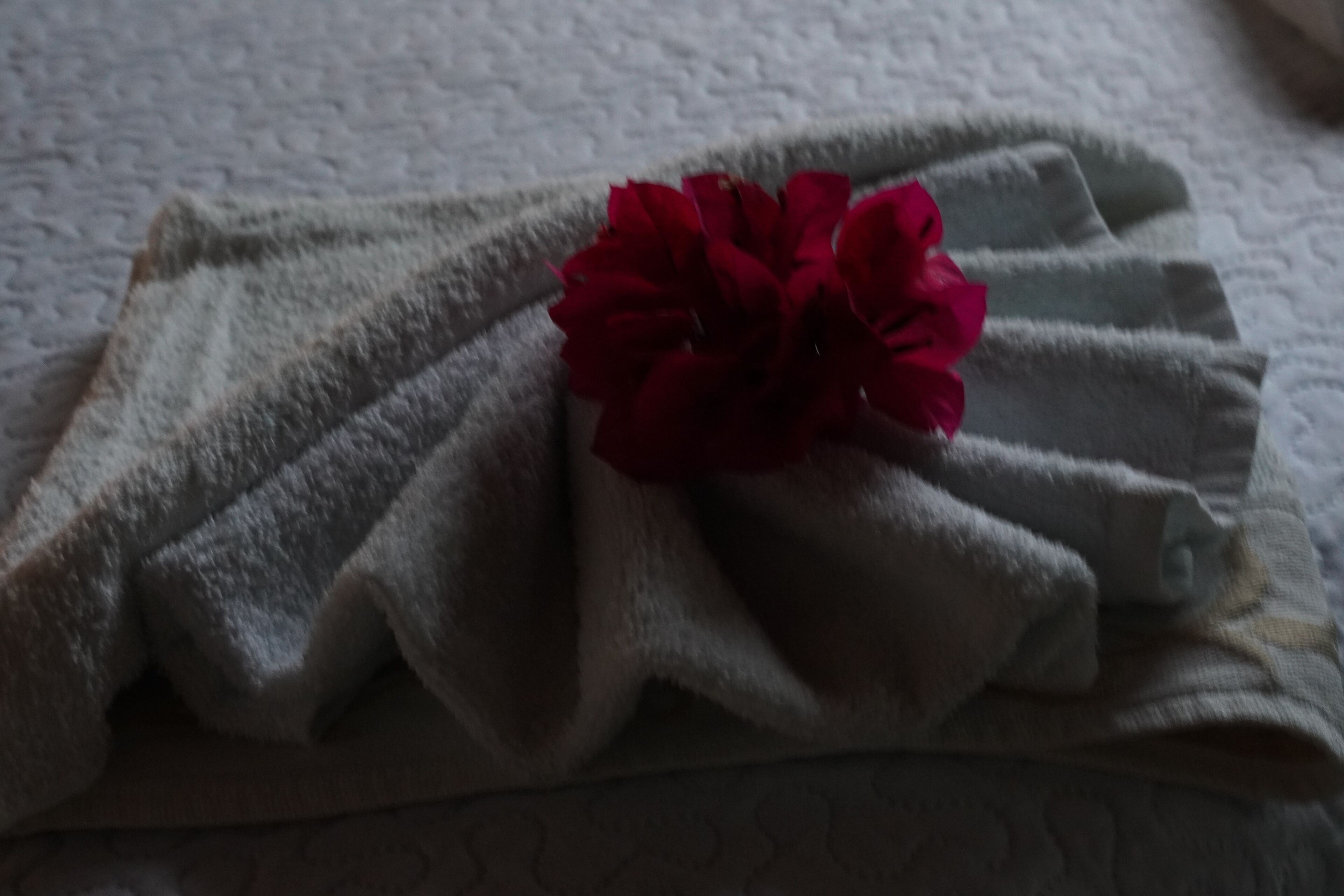 Uma toalha dobrada com uma flor vermelha sobre uma superfície branca texturizada.