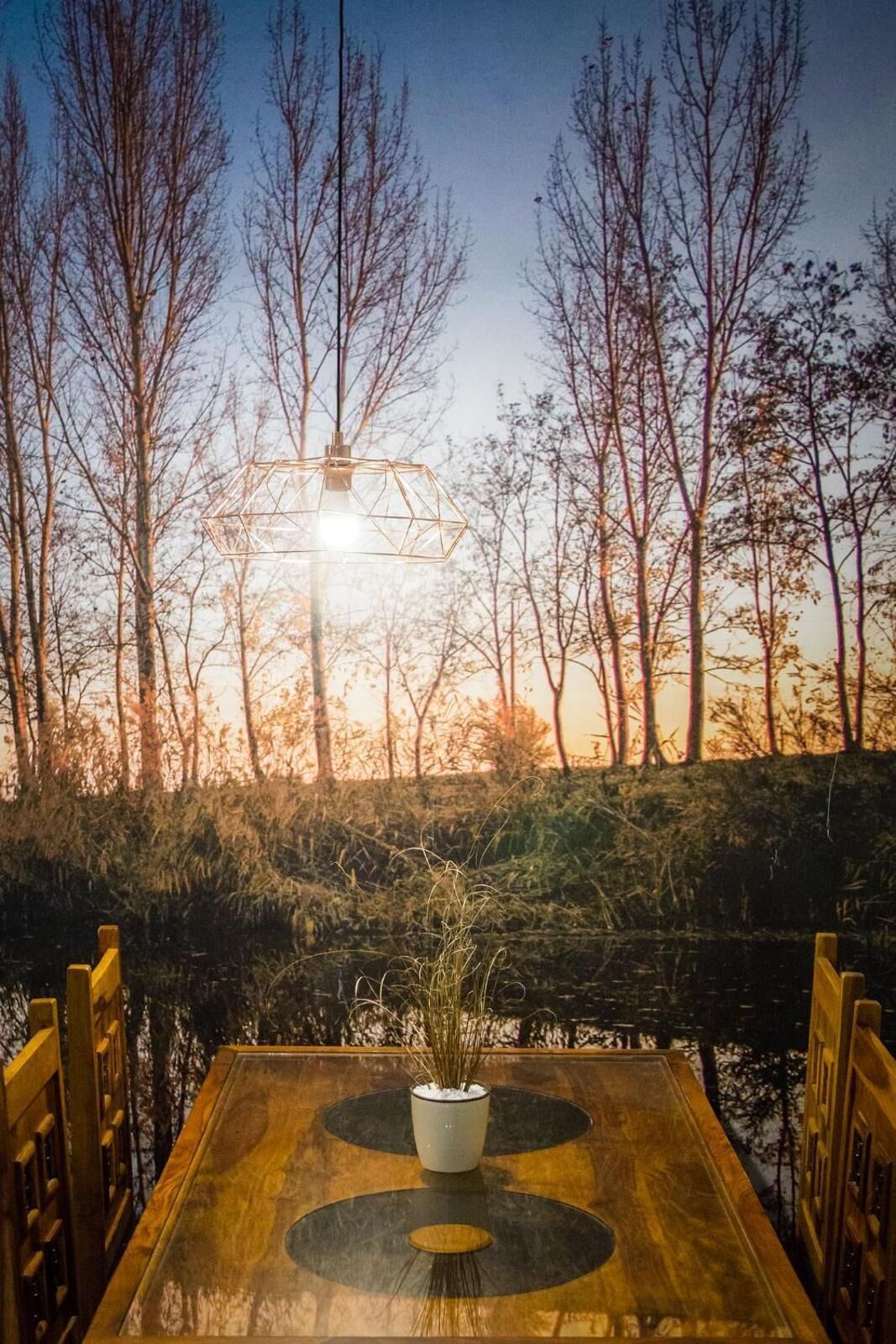 Uma mesa de madeira com uma planta em vaso, rodeada por cadeiras, com árvores e um pôr do sol ao fundo.