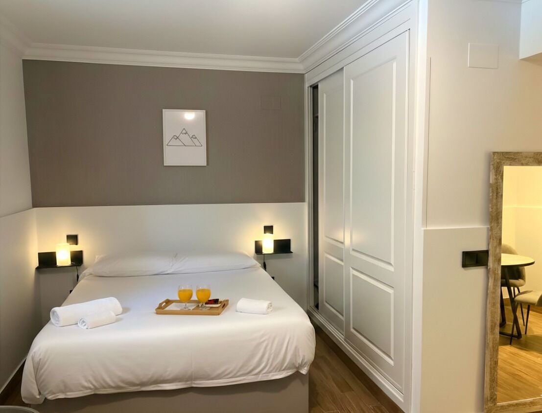 Estúdio Clássico, 1 cama de casal e sofá-cama, ar condicionado | Edredões de penas, ferro/tábua de engomar, berços/camas para crianças 