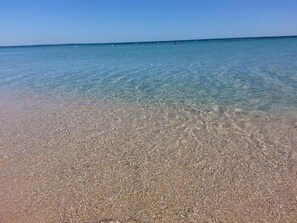 Casa, vista para o jardim | Praia | Perto da praia, areia branca, 2 bares na praia 