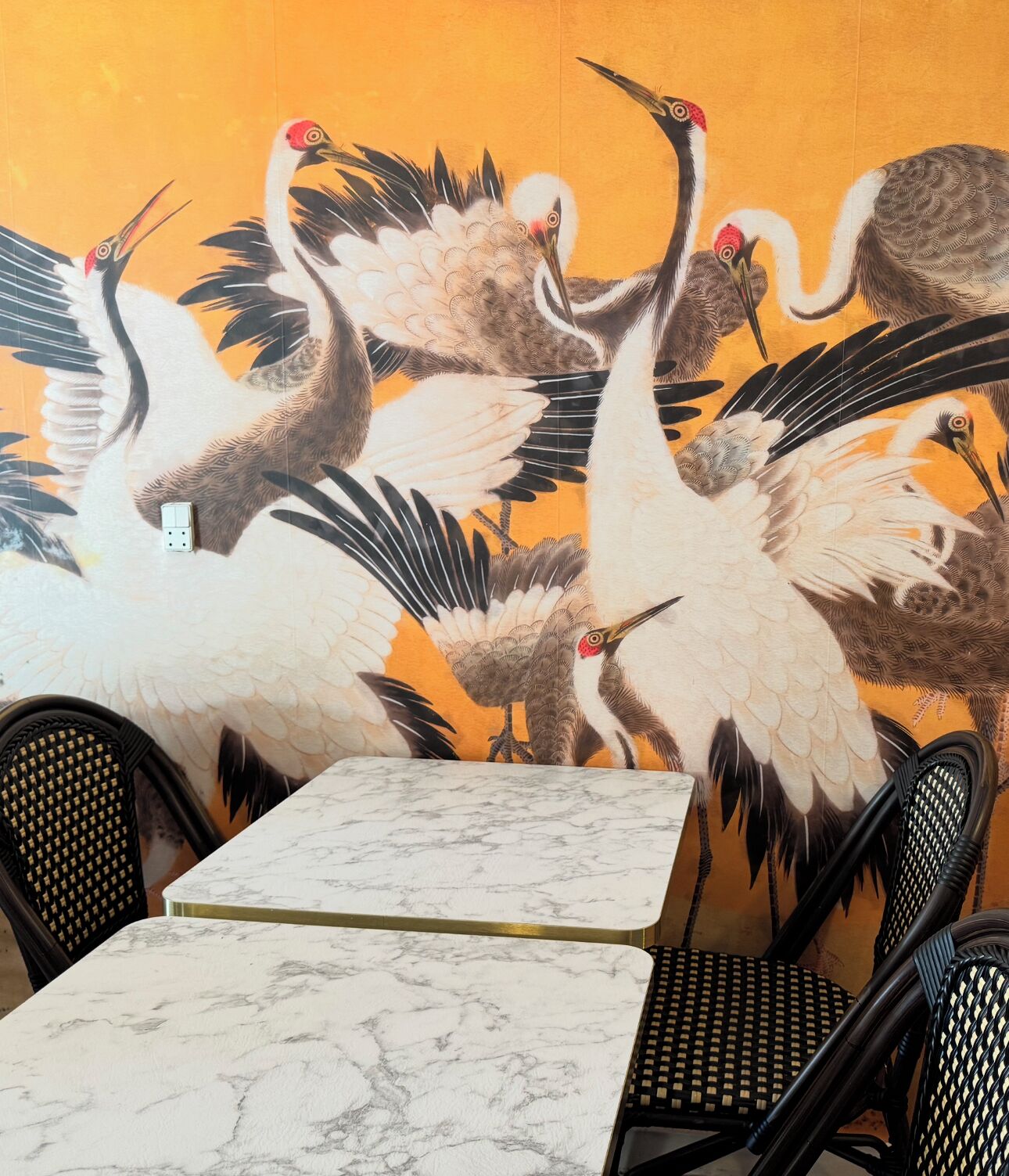 Uma área de refeições com uma mesa e cadeiras, um mural de pássaros na parede e uma tomada na mesa.