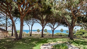 Um jardim arborizado com árvores e um caminho de pedra.