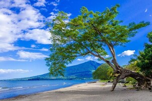 Uma praia com uma árvore grande, céu azul límpido e uma montanha ao fundo.
