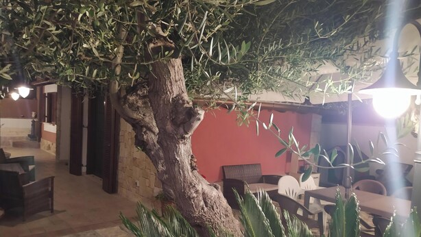 Ambiente interno com uma grande árvore, disposição de assentos e um lustre iluminado.