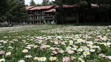 Área da propriedade