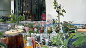 Um pátio com plantas em vasos, um grande barril e vários frascos.
