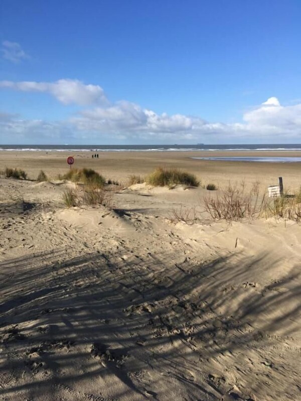 Zeebrugge Sea View Family-friendly The Beach - Bruges