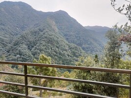 Paisagem montanhosa com floresta densa.