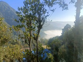 Paisagem montanhosa com vegetação densa e céu limpo.