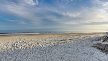 Uma praia arenosa com pegadas e vegetação rasteira.