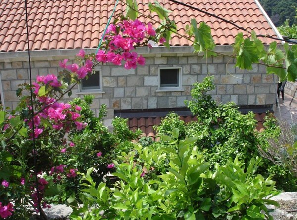 Villa Azure Saplunara - Mljet