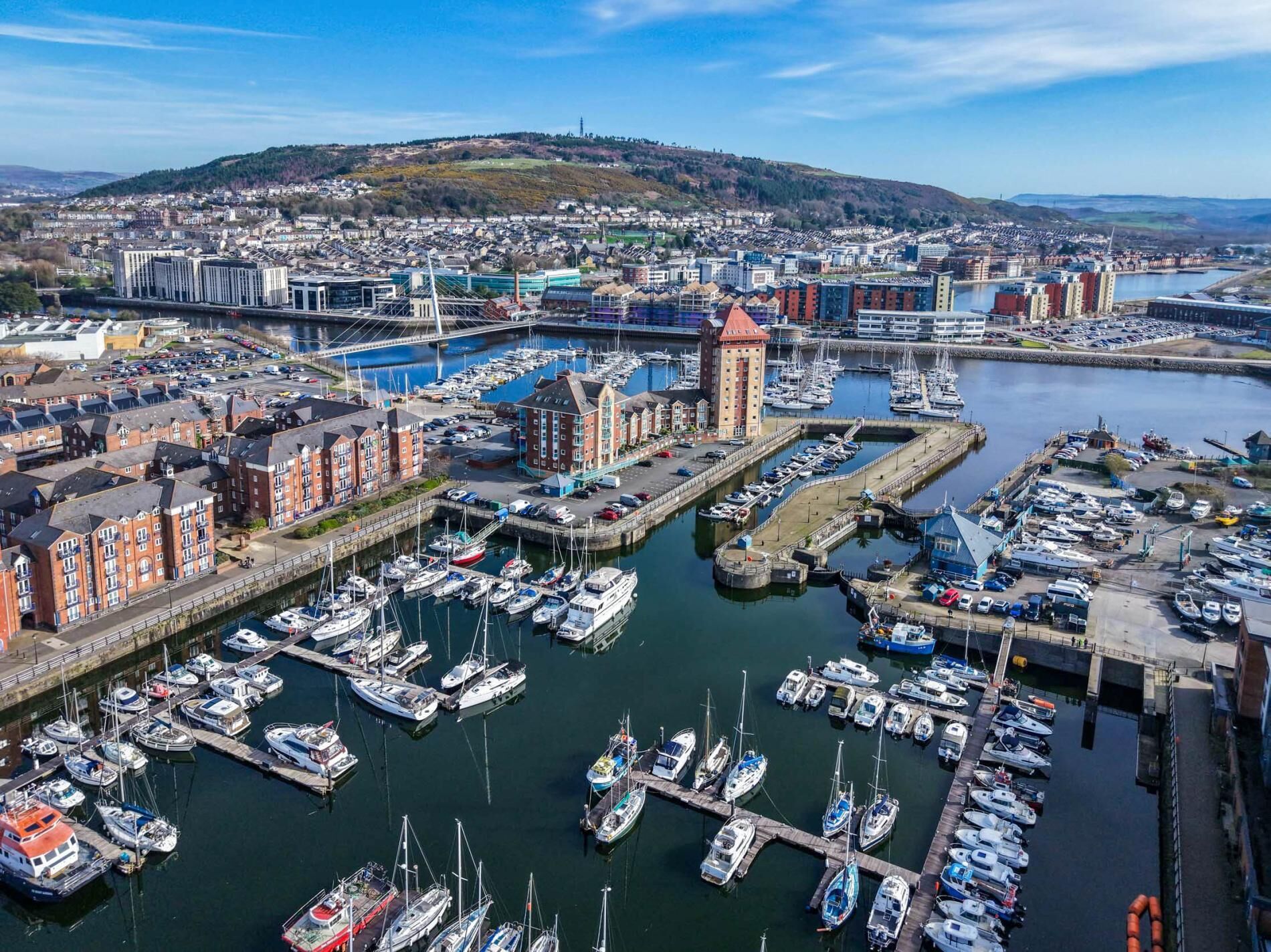 Uma marina com barcos atracados, uma ponte e edifícios ao fundo.