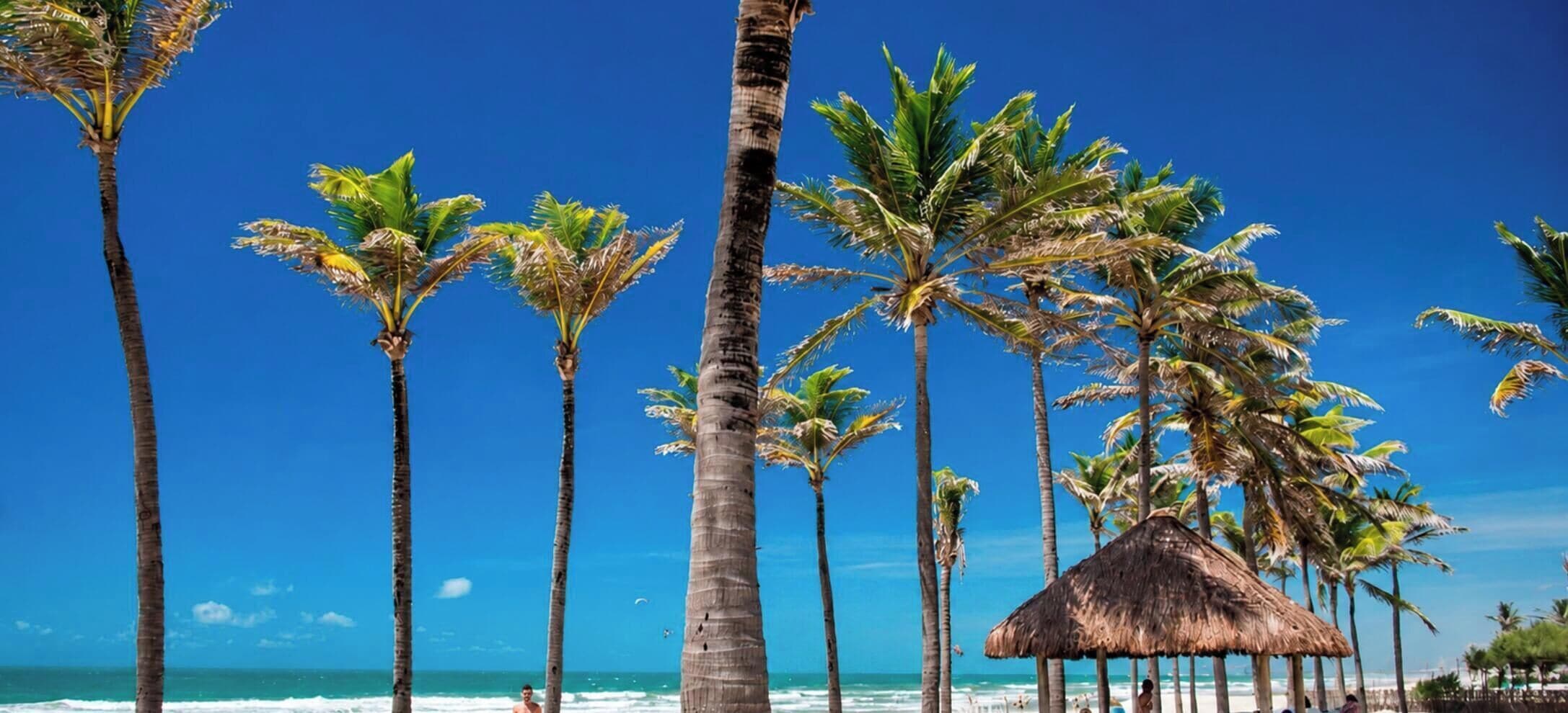 Perto da praia, areia branca 