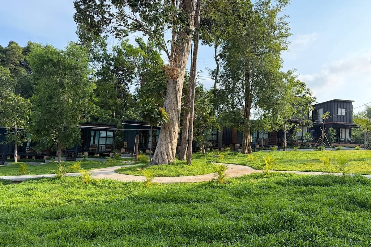 Uma área gramada com árvores e um edifício de design moderno.