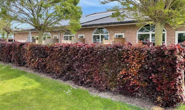 Apartment In Groede Near The Beach - Breskens