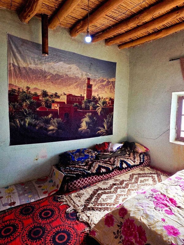 Olecactus - Maroc