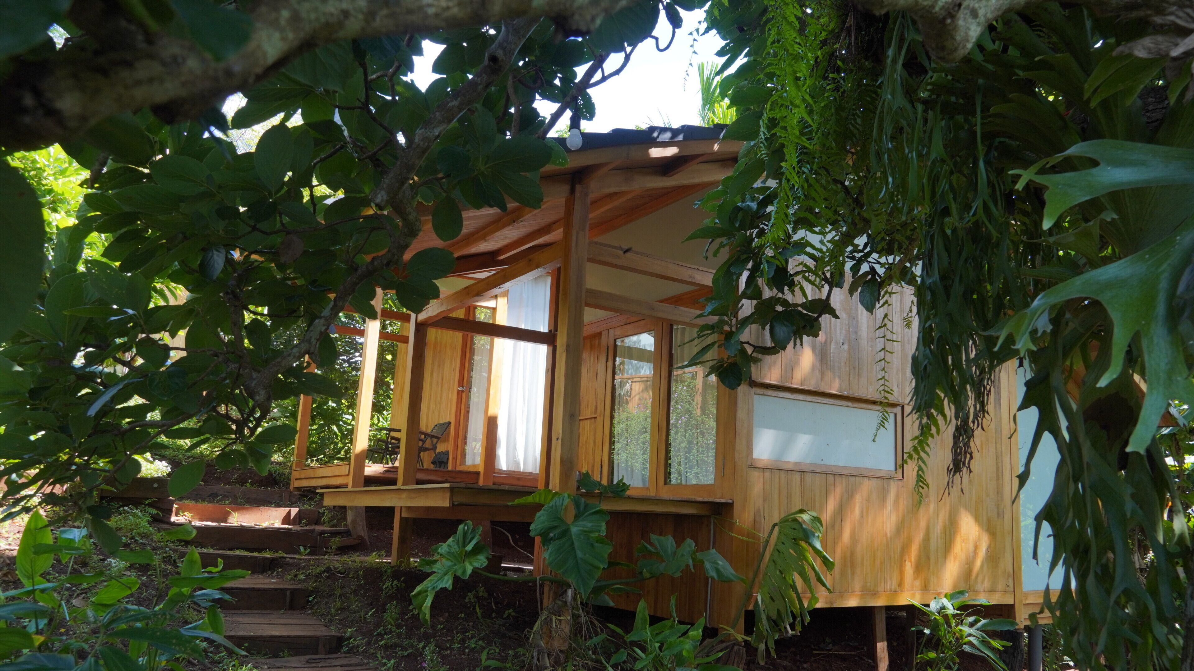 Uma cabana de madeira com varanda, rodeada por vegetação exuberante.