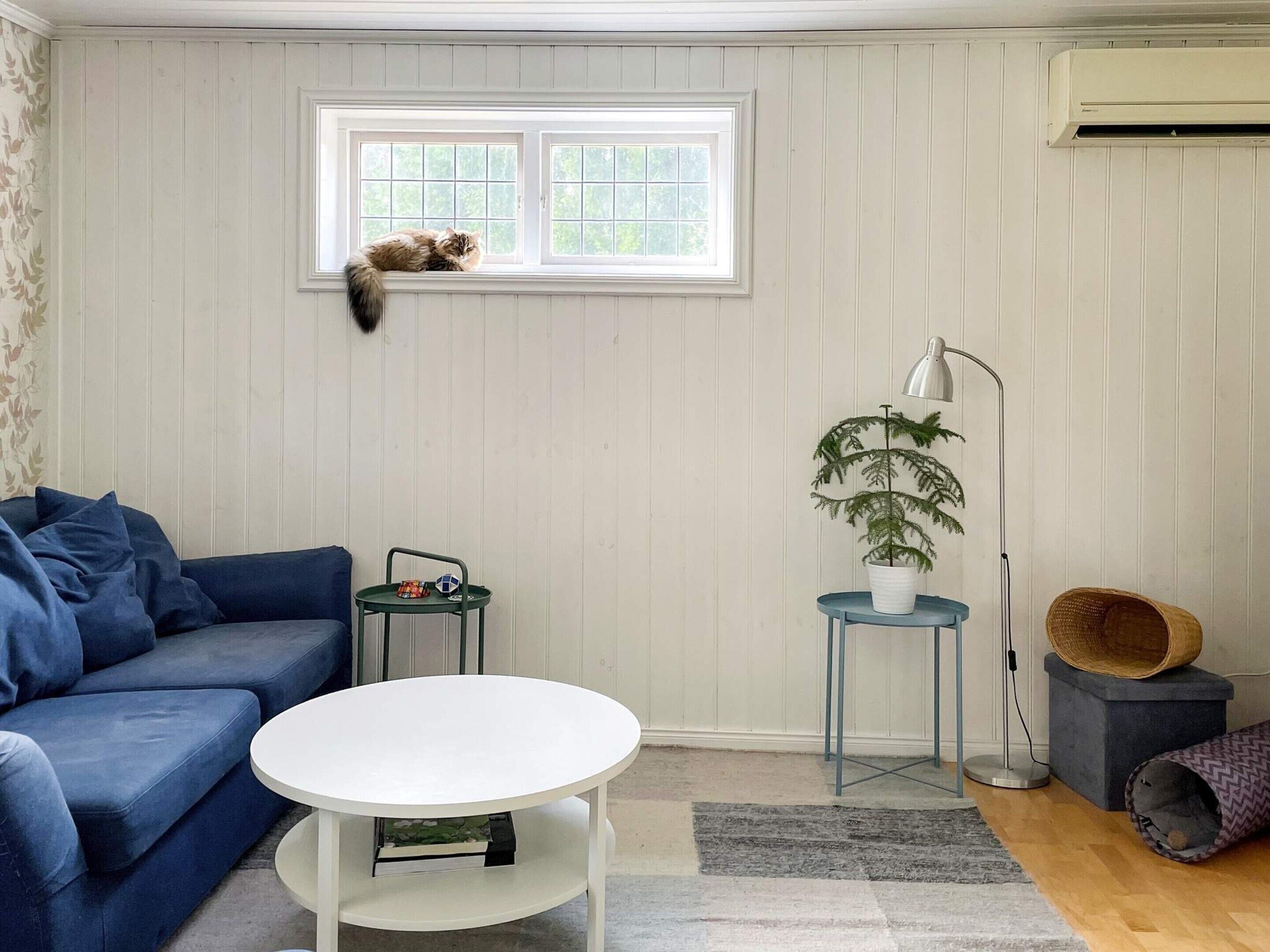 Uma sala de estar com um sofá azul, uma mesa branca, uma planta em vaso, um abajur e um gato no parapeito da janela.