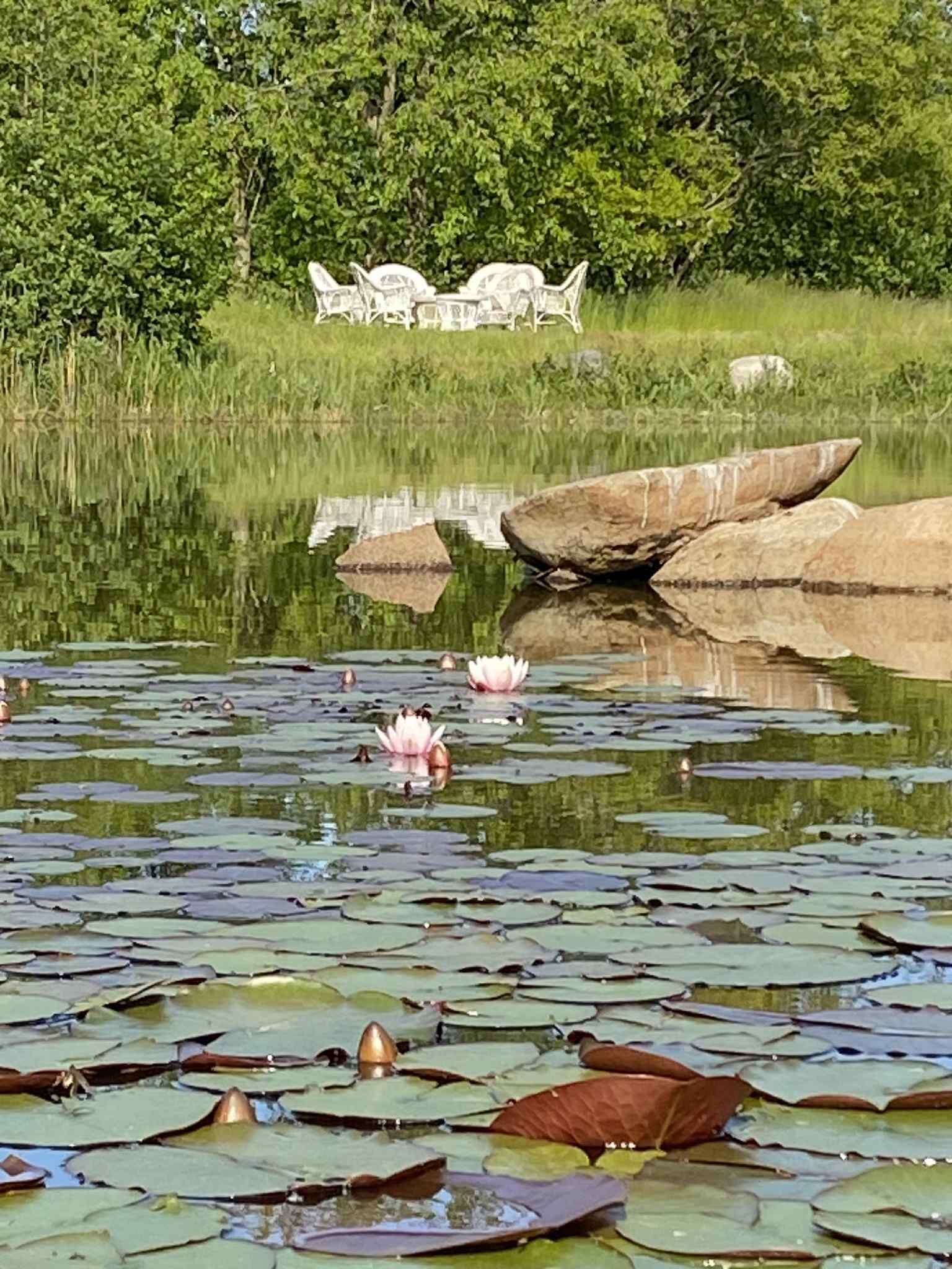 Terrenos do alojamento