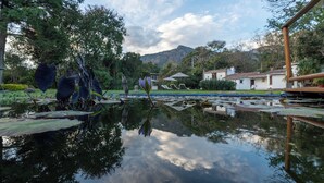 Um lago tranquilo com folhas de nenúfar e uma única flor de nenúfar, cercado por vegetação exuberante e um panorama montanhoso.