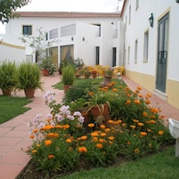 Terraço/pátio interior