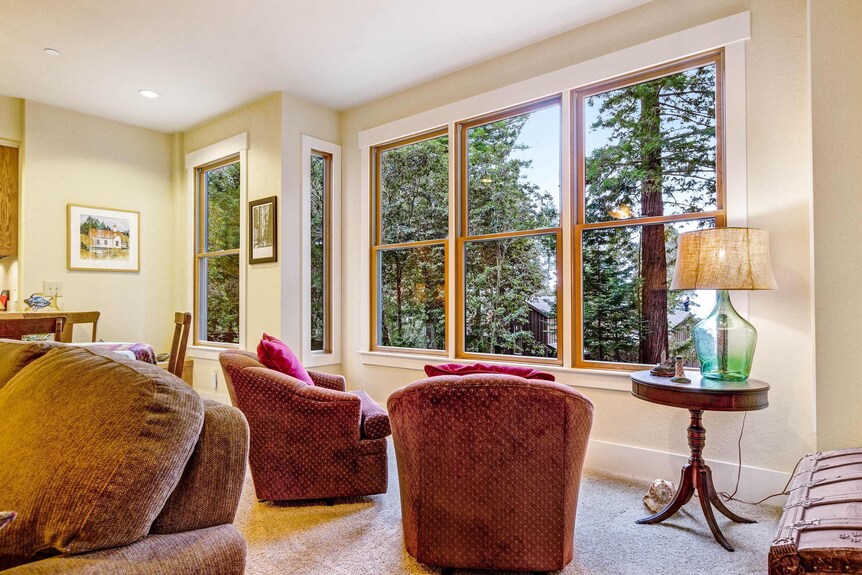 Sea Ranch 2br Forested Home On The Hillside Dog Friendly - Sea Ranch, CA