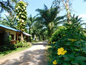 Terrenos do alojamento