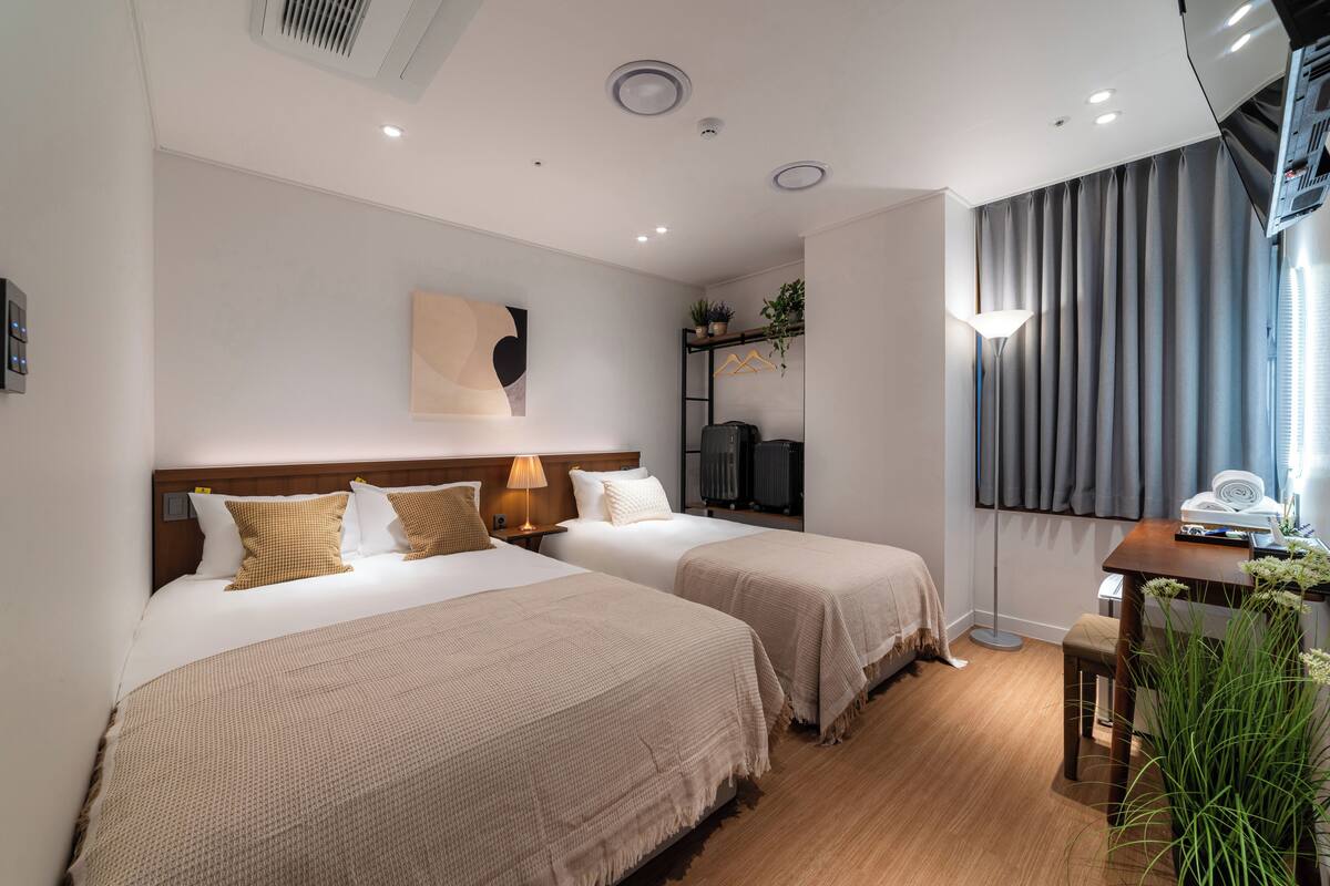 Quarto de hotel com duas camas, uma escrivaninha com cadeira, televisão, planta e janela com cortinas.