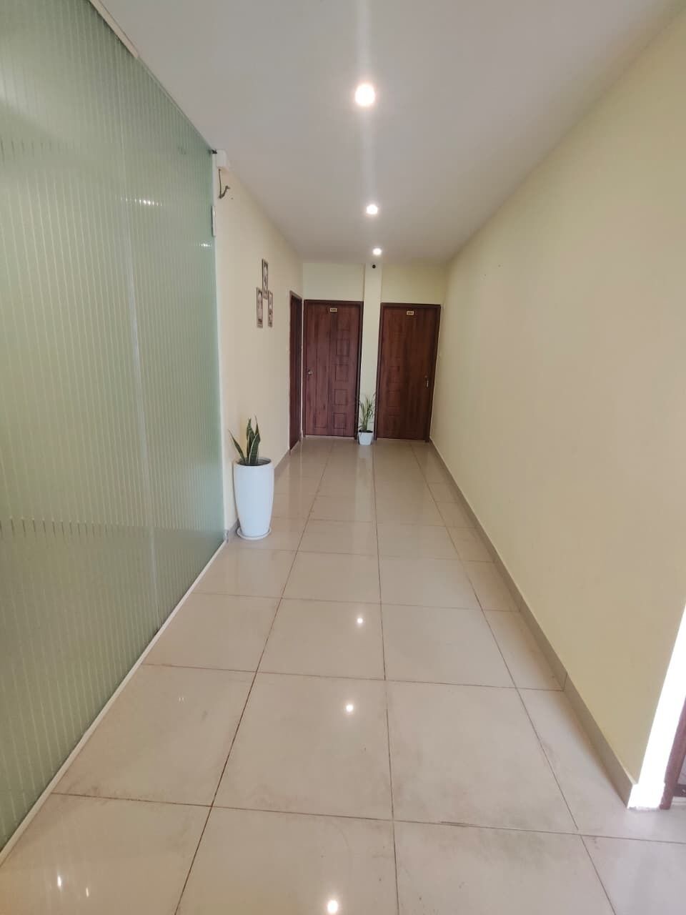 Um corredor com piso ladrilhado, duas portas e plantas em vasos.